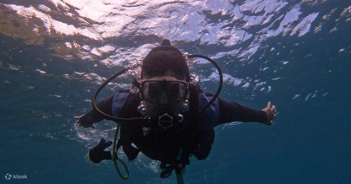 加拉巴哥 Padi 開放水域潛水員與 Padi 度假村 Klook 客路